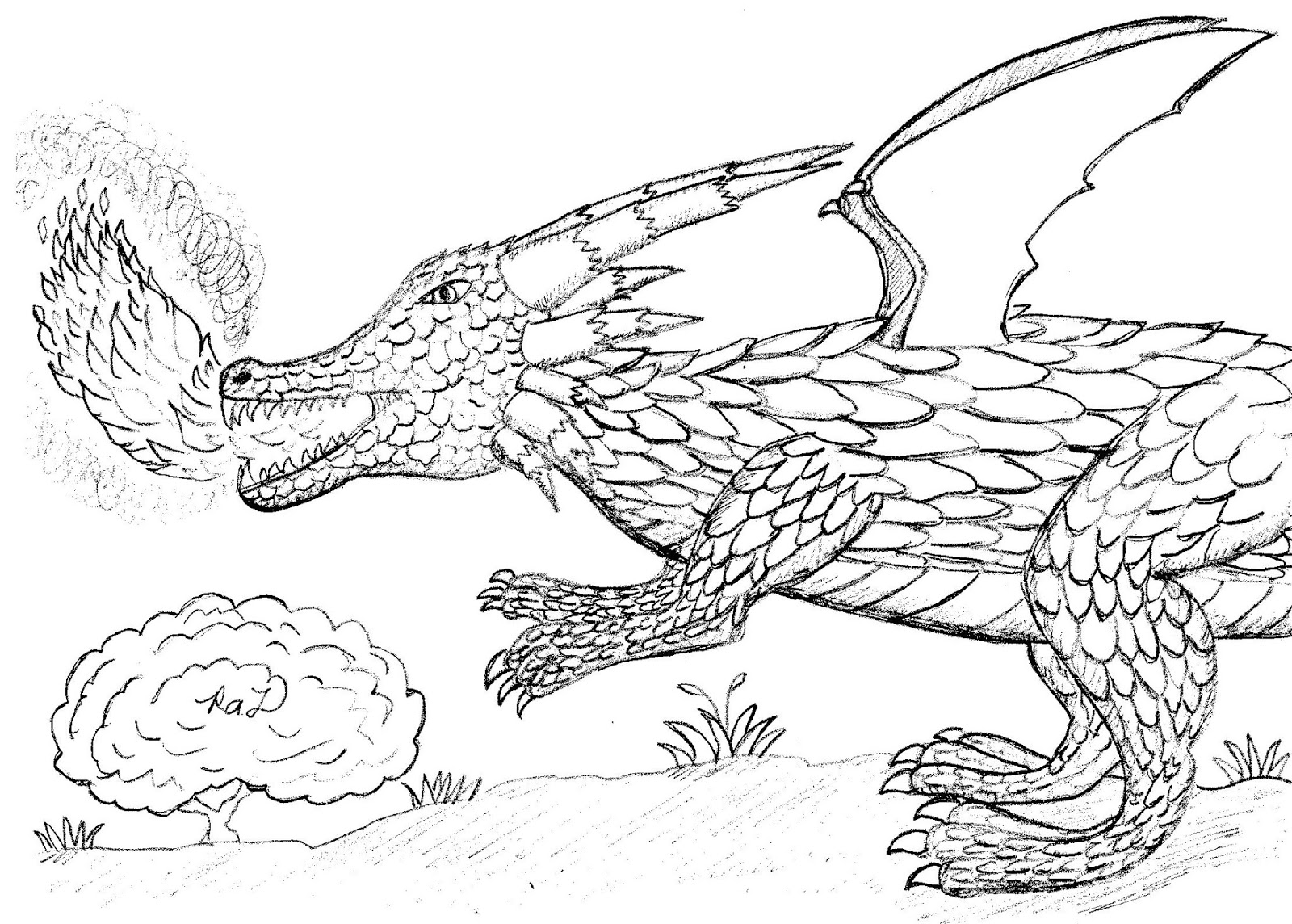 Herbivore Carnivore And Omnivore Coloring Pages Coloring Pages Herbivore Carnivore And Omnivore Coloring Pages Coloring Pages